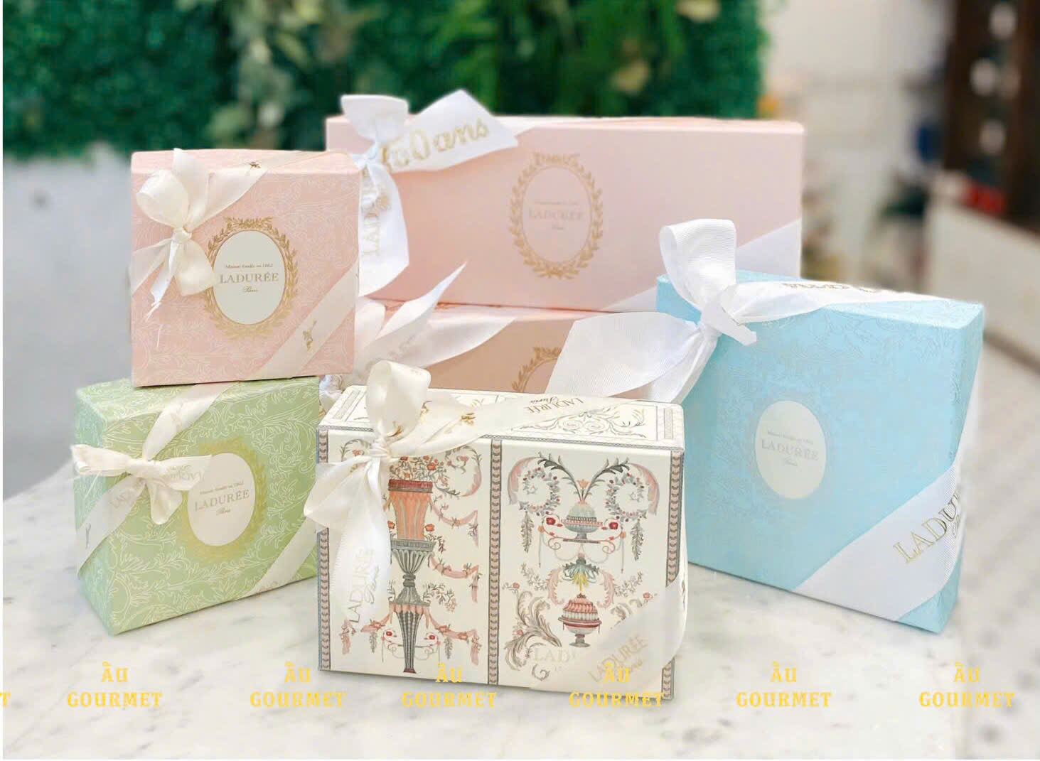 Bánh Macaron Laduree Gặp gỡ “nàng tiểu thư Pháp” trong chuyến du hành ...