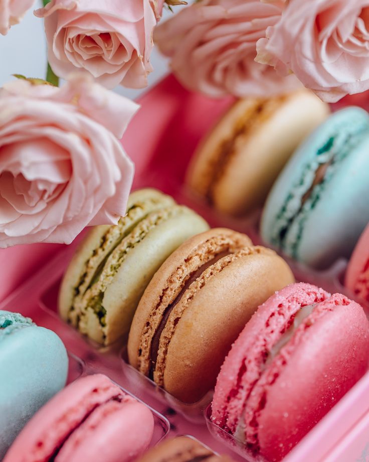 Thưởng thức macaron Pháp và nghệ thuật sống chậm kiểu Paris